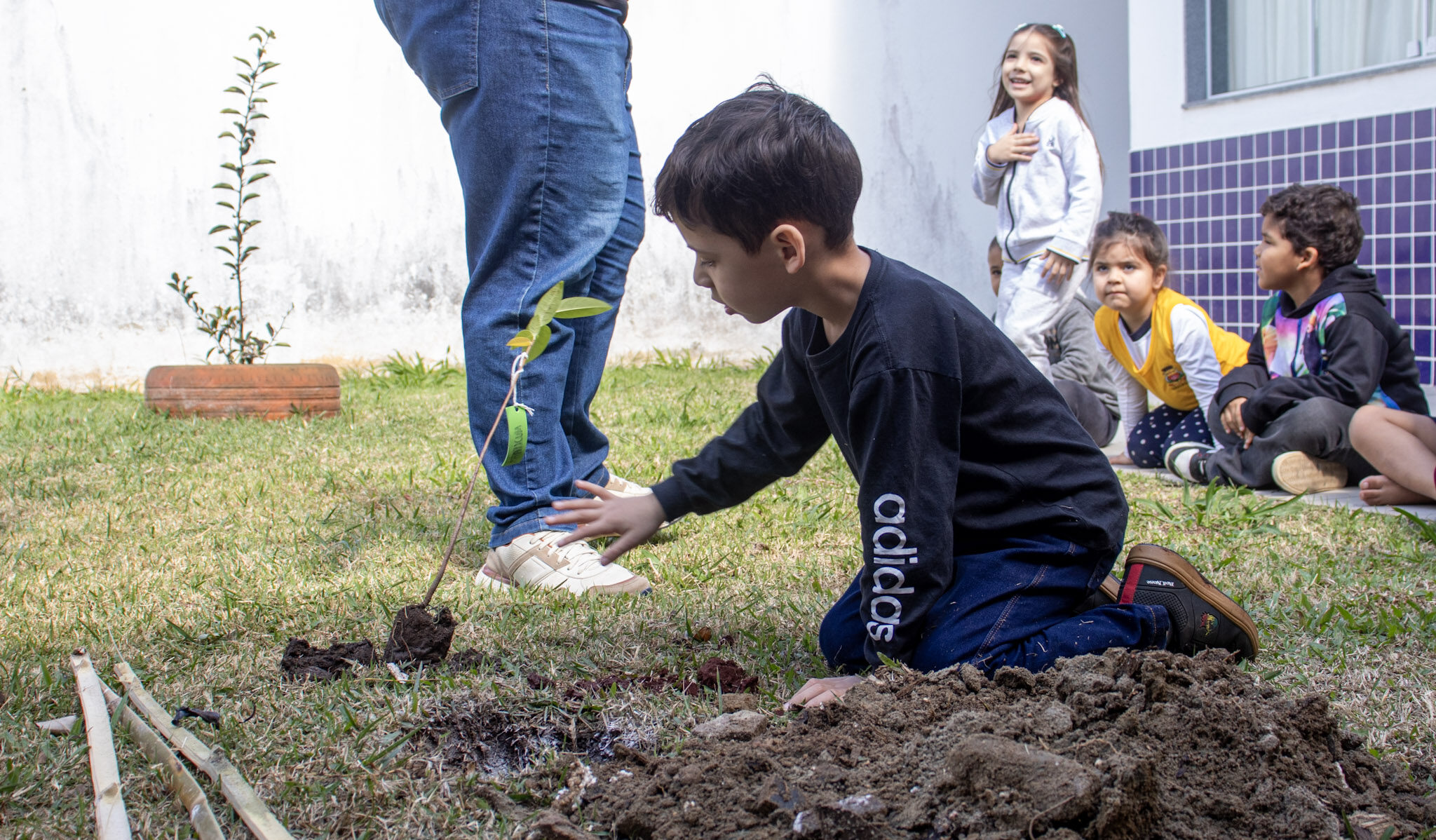 Alunos plantam árvores em escola municipal durante ação do Projeto ...